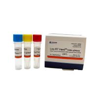 China Lnc-RT HeroTM I(With GDNase) Super Premix For First-Strand CDNA Synthesis From LncRNA Cat.No.RTL-09098/09099 for sale