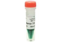 China DNA Marker Agarose Gel PCR Kit DNA Ladder 700bp For Molecular Biology Tests for sale