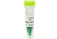China 2000bp DNA Marker Agarose Gel PCR Kit DNA Ladder For Research for sale