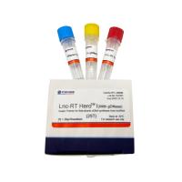 China RT EasyTM I Master Premix RNA To CDNA EcoDry Premix for sale