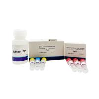 China Anti Pollution PCR System Zebra Fish Direct PCR Kits (65℃ lysis) With UNG Enzyme for sale