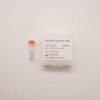 China TP53/CSP17 Dual Color Probe For Detecting The Abnormality Of Human TP53 Gene for sale