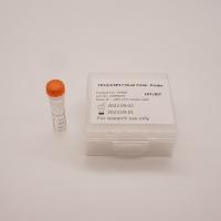 China TP53/CSP17 Dual Color Probe For Detecting The Abnormality Of Human TP53 Gene for sale