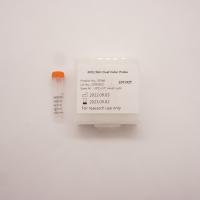 China MYC/IGH Dual Color Probe For Detecting Abnormality Of Human MYC/IGH Gene for sale