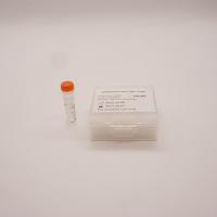 China D7S486/CSP7 Dual Color Fish Probe Kit For Cytological Samples for sale