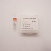 China D7S486/CSP7 Dual Color Fish Probe Kit For Cytological Samples for sale