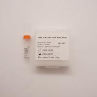 China Fluorescence In Situ Hybridization Reagent CBFB Dual Color Break Apart Probe for sale