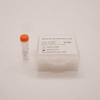 China Fluorescence In Situ Hybridization Reagent CBFB Dual Color Break Apart Probe for sale