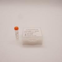 China 1q21 Spectrum Orange Probe Fish Probe Kit Detect Abnormality Of Human 1q21 Gene for sale
