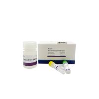 China COA 99.9% qPCR Kits SYBR Green I High Amplification Efficiency Sensitivity for sale