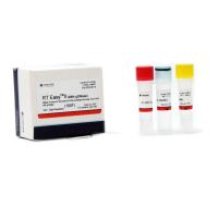 China CDNA Synthesis PCR Master Premix Reverse Transcription RT Easy II 50T 200T for sale