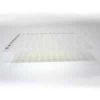 China Foregene 10 Plates/Kit Lab Consumables Transparent 96 Well PCR Plate 100ul 200ul for sale