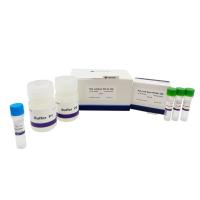 China 50 Tests Plant Leaf Direct PCR Kit 50×20ul Rxns 200×20ul Rxns for sale