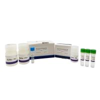 China 200 Tests Packing Plant Leaf Direct PCR Reagent Kit With UNG High Effective for sale