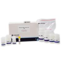 China Buffer ML1 Lysozyme Bacterial Genomic DNA Isolation Kit 5000xg for sale