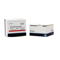 China Fast High Sensitive 20ul System First Strand CDNA Synthesis Kit RT-01011 for sale