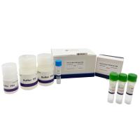 China 6x DNA Loading Buffer Plant Leaf Plus Direct PCR Kits With UNG for sale