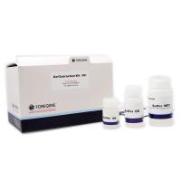 China Foregene DNA Gel Extraction Kit High Recovery For Lab Use Reagent for sale