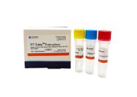 China Fast RT Easy II 25T  Reverse Transcriptase Kits With DNase For Real Time PCR for sale