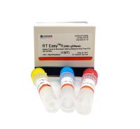 China Fast RT Easy II 25T  Reverse Transcriptase Kits With DNase For Real Time PCR for sale