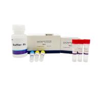 China Buffer AL Animal Tissue Direct PCR Master Mix UNG Kits Without DNA Isolation for sale