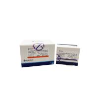China Buffer CL One Step RT QPCR Kit 200T 1000T Cultured Cell Direct RT-QPCR for sale