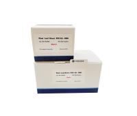 China Plant Leaves Direct PCR Kit Containing Low Polysaccharide And Polyphenol Components For Transgenic Plants for sale