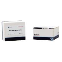 China 5% Glycerinum 0.02% BPB 1kb DNA Ladder PCR Kits For Laboratory Research Use for sale