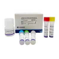 China Multiplex SARS-CoV-2 Covid 19 RT PCR Test Kit For 3 Genes for sale