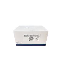 China 48/96 Tests Covid 19 RT PCR Test Kit CE Covid 19 Nucleic Acid Test Kits for sale