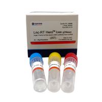 China RT Easy I Master Premix For First Strand CDNA Synthesis Fast And Highly Sensitive Reverse Transcription System for sale