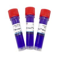 China PCR Hero (With Dye) Kit Ultra Fast 2 X PCR Premix System For Basic Research In Life Sciences And Medicine for sale
