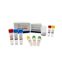 China 7min get RNA template Cell Direct RT-QPCR kit SYBR GREEN I and Taqman method fast high efficiency for sale