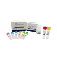 China 7min get RNA template Cell Direct RT-QPCR kit SYBR GREEN I and Taqman method fast high efficiency for sale