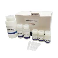 China High Purity General Plasmid Mini DNA Isolation Kit Without Adding RNase for sale