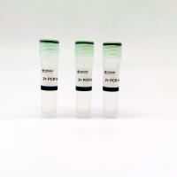 China Foregene 2× PCR Premix System PCR Kits Ultra Fast for sale