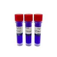 China Foregene Ultra Fast 2× PCR Premix System PCR Kits PCR Heroᵀᴹ  With Dye for sale