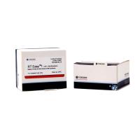 China First Strand CDNA Synthesis Reverse Transcription System RT Easy I Master Premix for sale