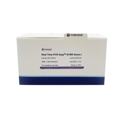 China Real Time Fluorescent Quantitation Pcr Premix System Sybr Green Specific Rt Qpcr Kit for sale
