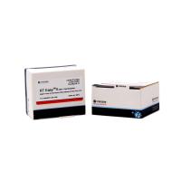 China Reverse Transcription System RT Easy II Master Premix For Real Time PCR product cDNA synthesis for sale