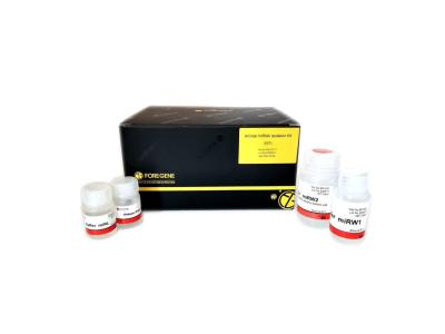 China Spin Column Animal MiRNA Isolation Kits RE-0101T For Laboratory Research Use for sale