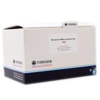 China Laboratory Research Bacterial Genomic DNA Isolation Kit 5000xg Spin Column for sale