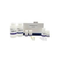 China High DNA Yield Blood DNA Midi Kit DNA Extraction Kits for sale