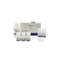China General Plasmid Mini DNA Isolation Kit Purification Column Plasmid DNA Extraction for sale