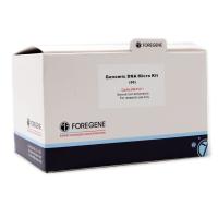 China Genomic DNA Isolation Kit Lab Reagent Genomic Dna Isolation Micro Kit spin column lab reagent for sale