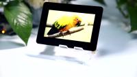 China 1024x600 TFT LCD Touch Screen Display 7 Inch 800cd/M2 Brightness for sale