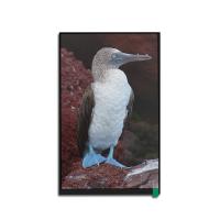China 8 Inch 250nits MIPI Interface TFT LCD Display 800x1280 With JD9366AB IC for sale