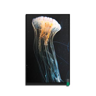 China 8 Inch 250nits MIPI Interface TFT LCD Display 800x1280 With JD9366AB IC for sale