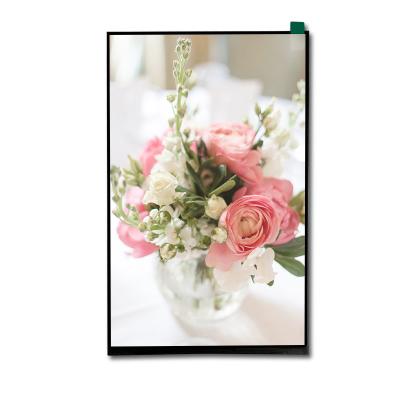 China 10.1 Inch 1200x1920 Resolution MIPI Interface 300nits TFT LCD Screen LCD Panel with IPS Glass for sale