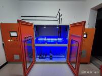 China Fully automatic electrolytic saltwater sodium hypochlorite generator for sale
